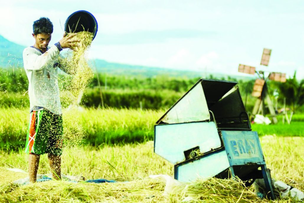 NFA begins purchase of ‘palay’ from NegOcc farmers