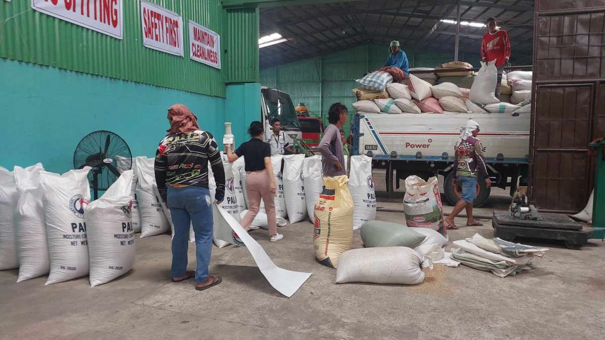 NFA sets new ‘palay’ buying price