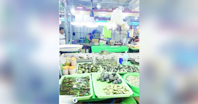 Red tide still up in WV waters