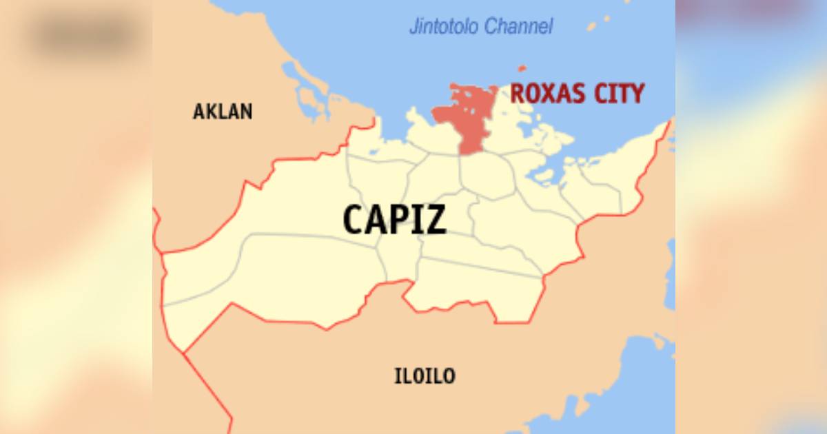 Roxas City readies fund for anti-dengue drive