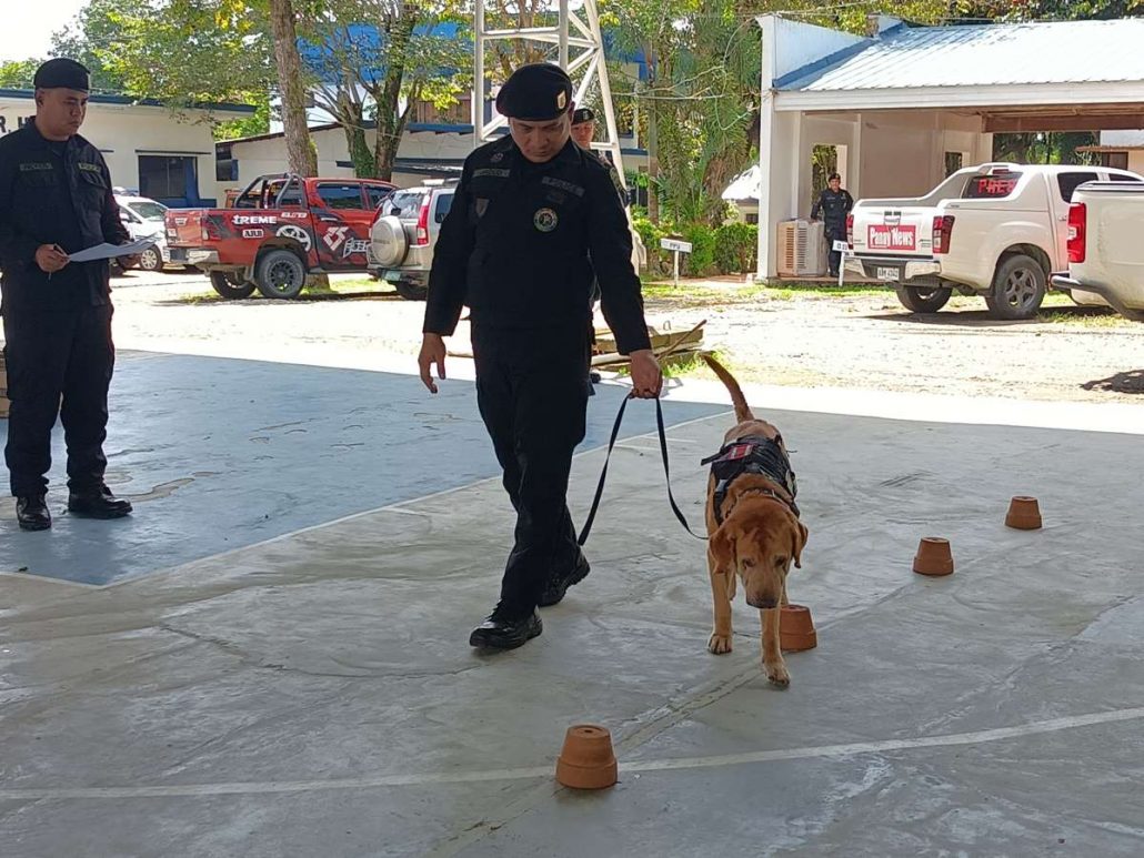 EOD-K9 holds capabilities assessment
