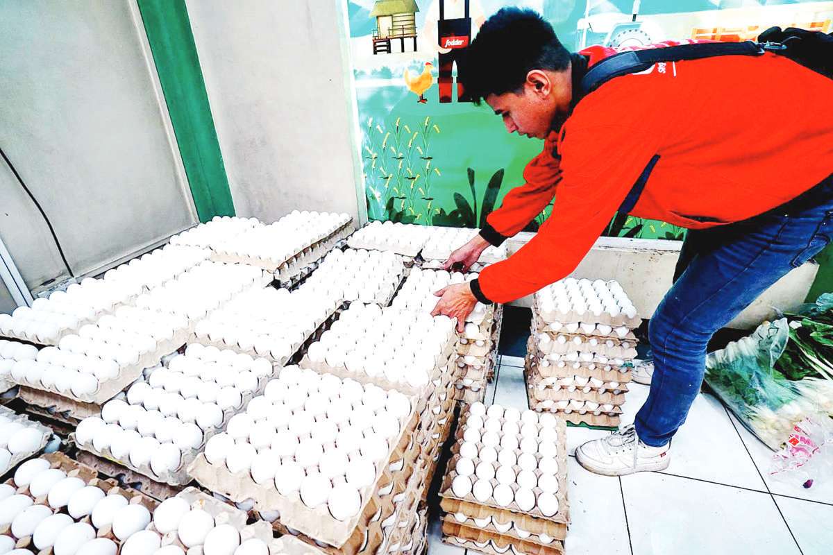 Why egg prices surge as holiday season nears