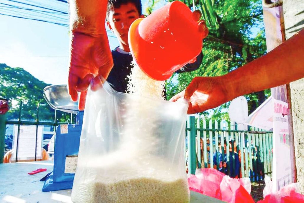 PH wastes P7 billion worth of rice annually – PhilRice