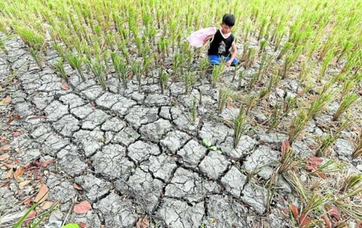 Task Force El Niño revived as threat of drought looms