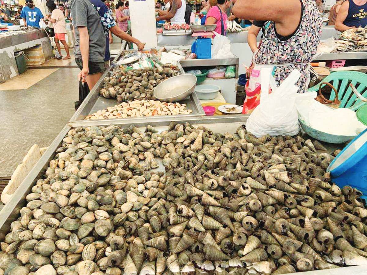 Red tide menace persists in Region 6; BFAR warns vs consuming shellfish