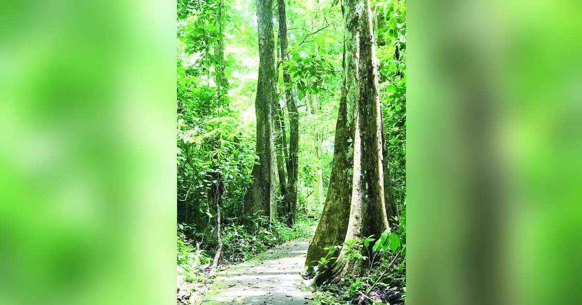 After Dinagyang, unwind at Bulabog Putian National Park