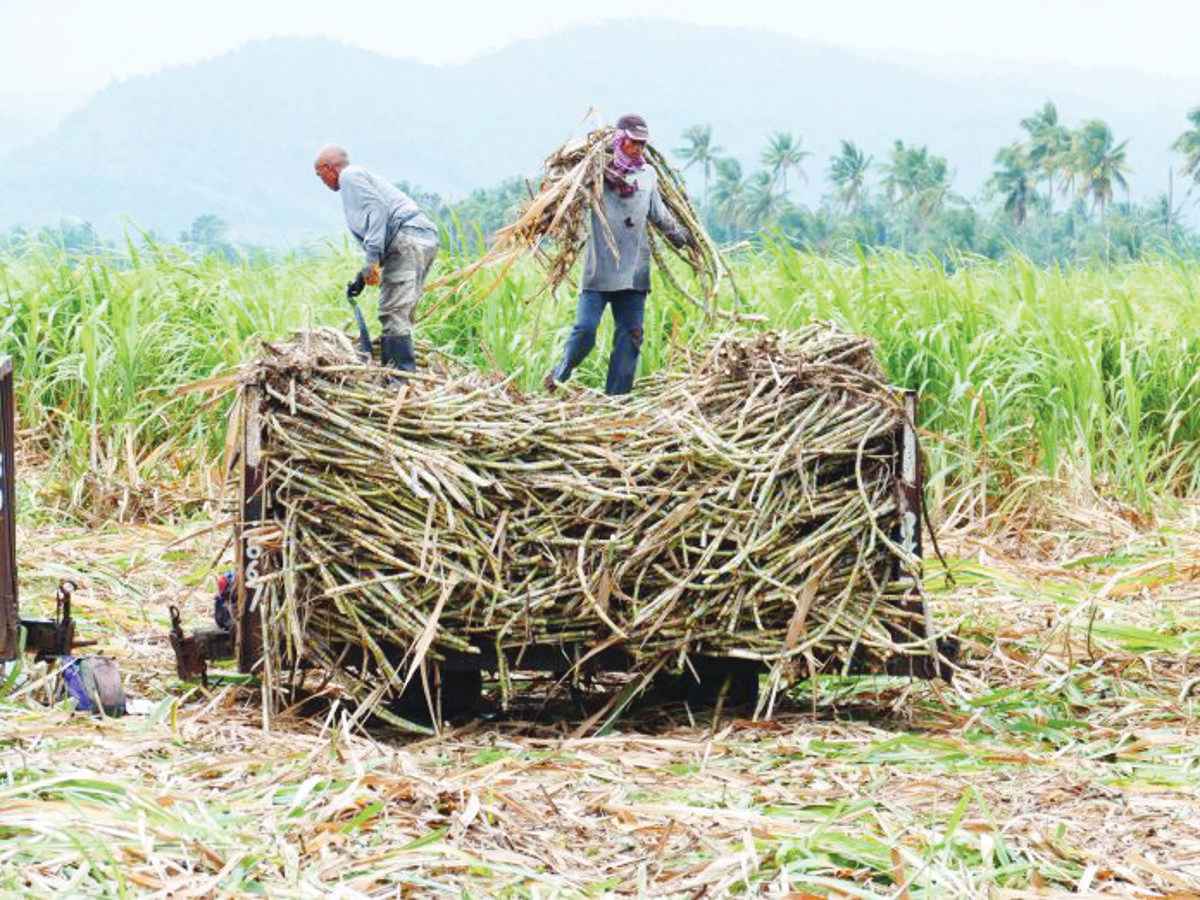 Sugar producers collab on issues affecting sugar industry