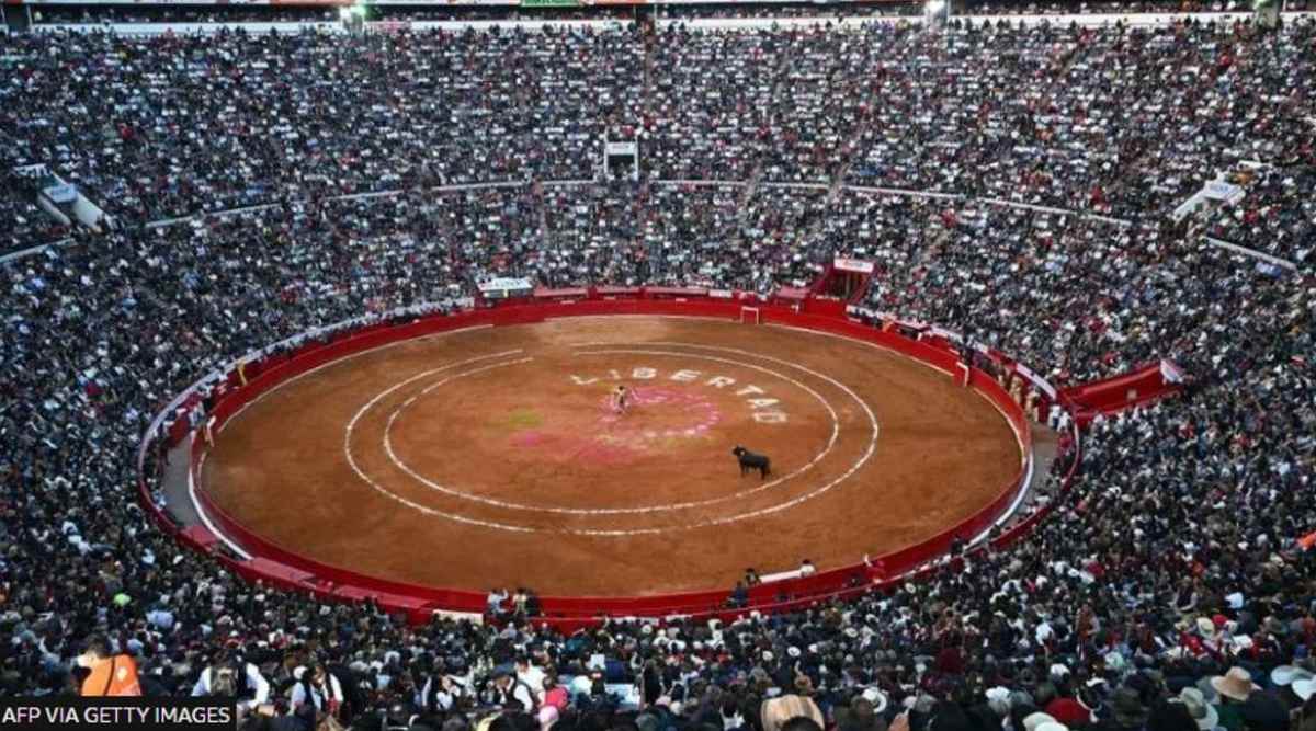Bullfighting returns to Mexico