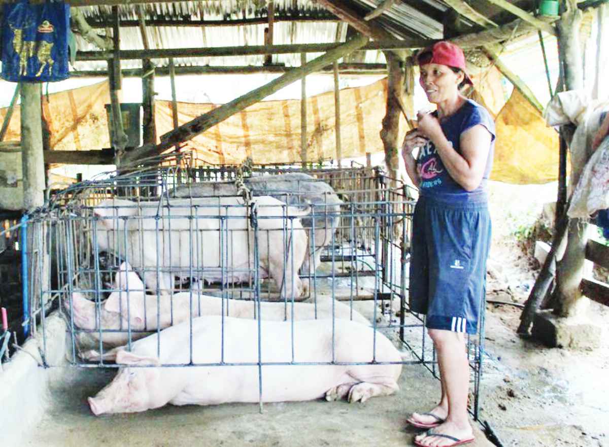 Pork ban in NegOcc remains in effect