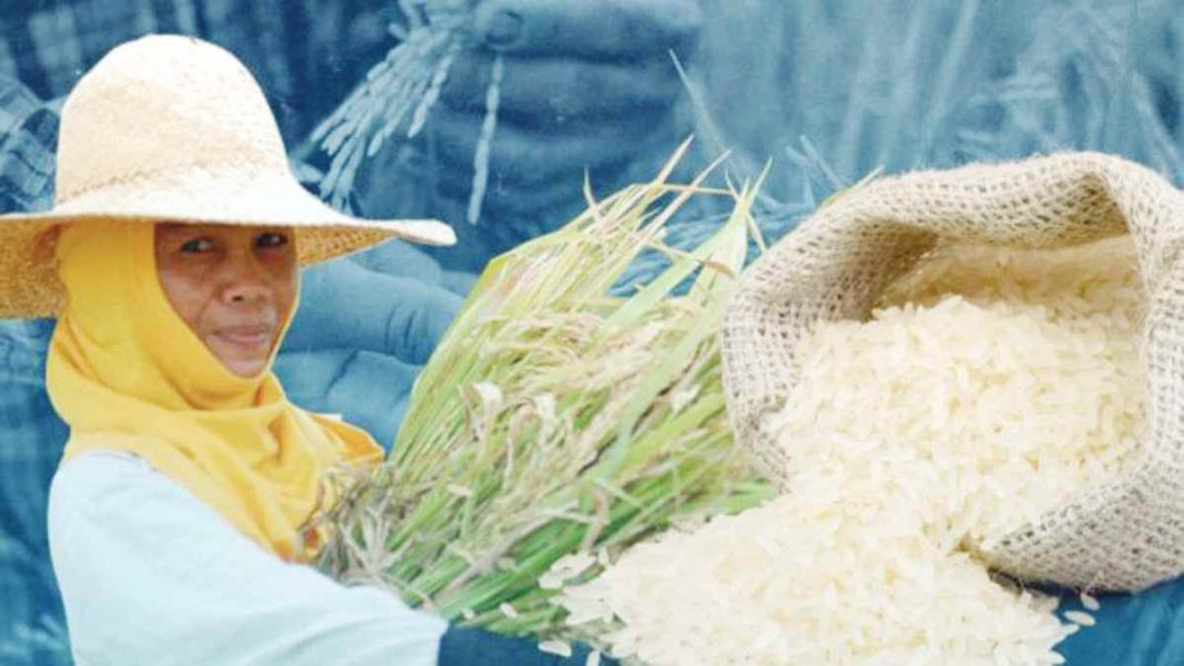 NegOcc farmers group to sell rice at P25 per kilo