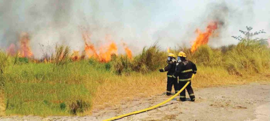 BFP-Bacolod records 16 grass fires in a day