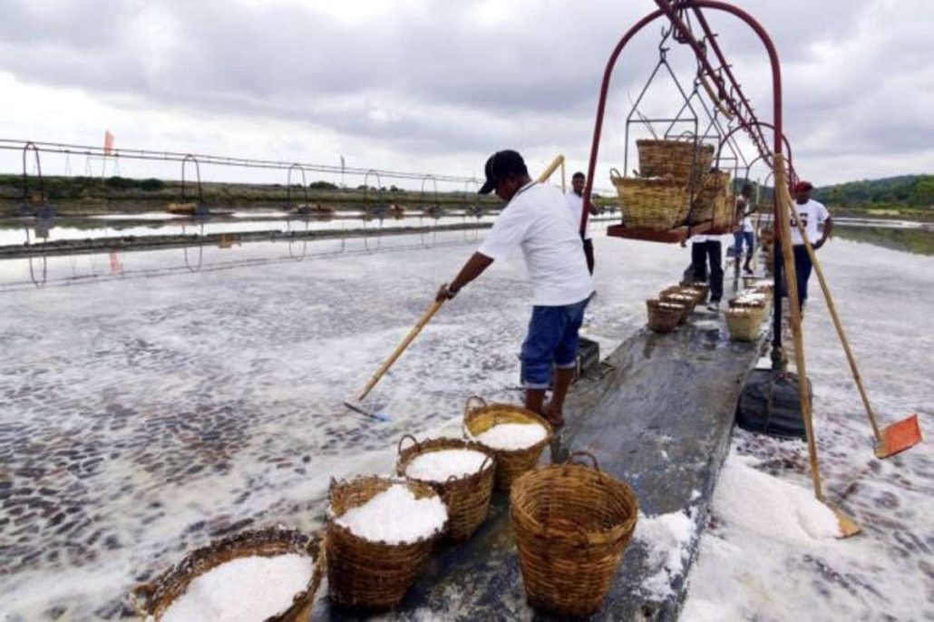 Marcos signs Philippine Salt Industry Development Act