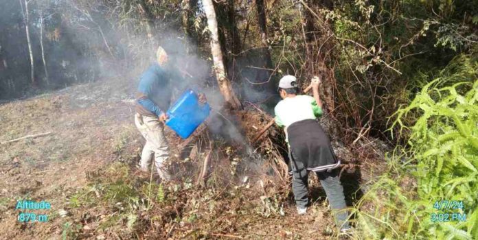 Community effort extinguishes forest fire at Northern Negros Natural Park