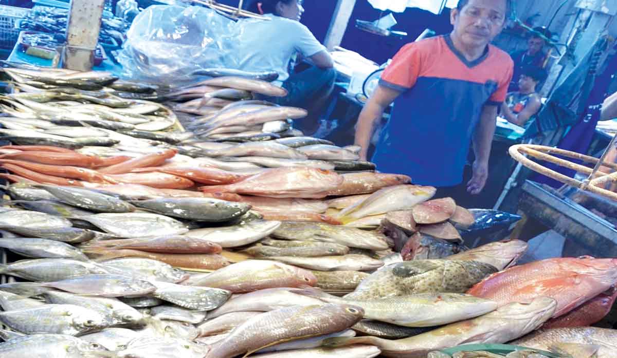 Group opposes gov't decision to import fish