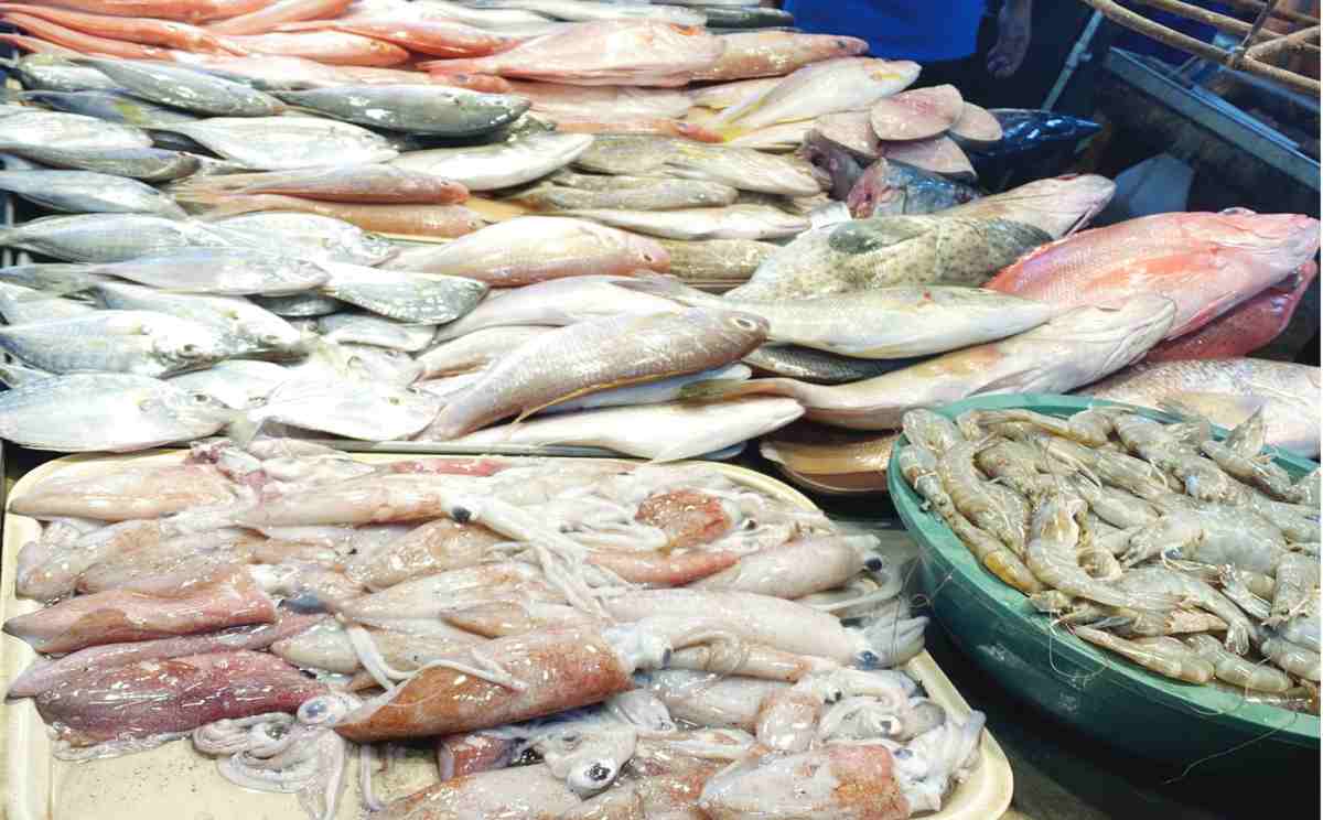Group opposes gov't decision to import fish