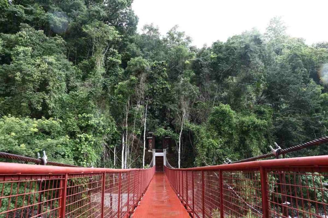 A Place of Wonder: Sibalom Natural Park