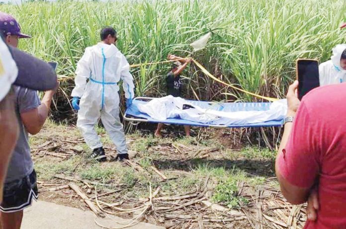 Decomposing body found in Pontevedra