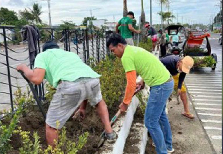 Iloilo City needs more native seedlings for tree-growing activity