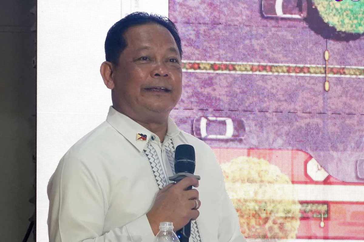 Halted P400-M seawall not a reclamation project – DPWH