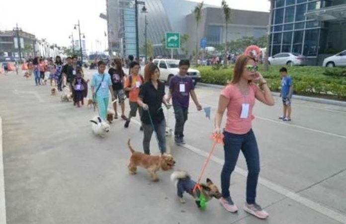 October is animal welfare month in Iloilo City