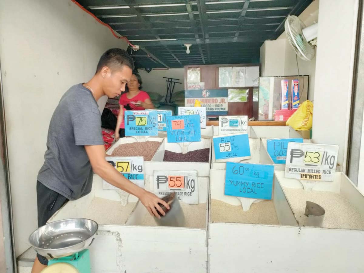 DTI begins rice price monitoring in WV as tariff cut takes effect