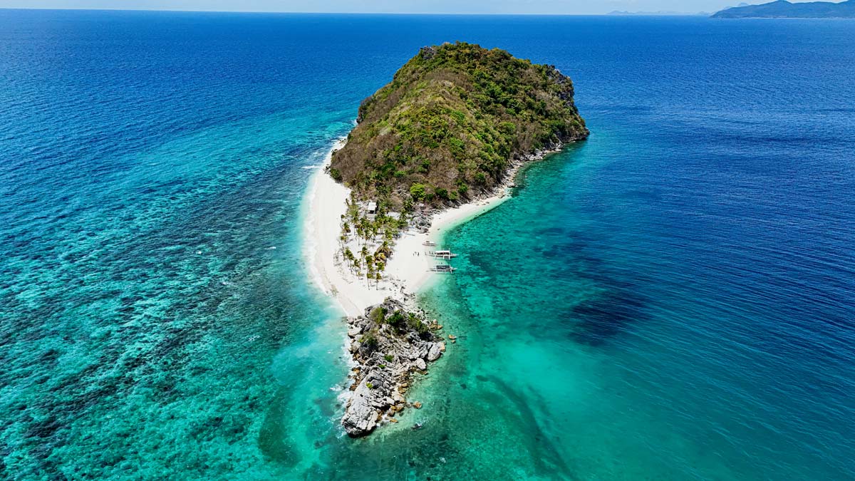 Gigantes islands keep rabies-free status: Boosts Iloilo’s 2030 target