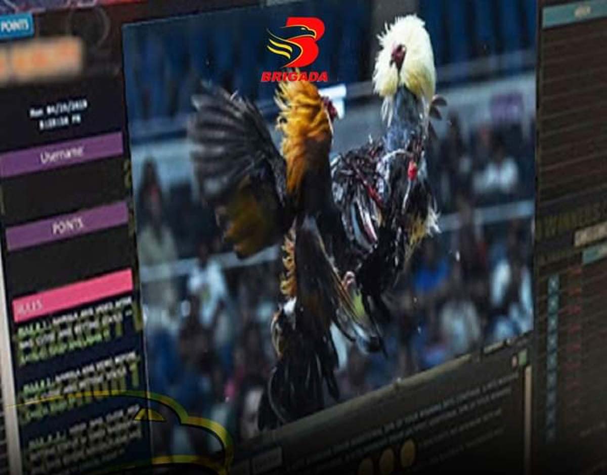 Bacolod bars cockpit operators from forcing patrons to use machine betting