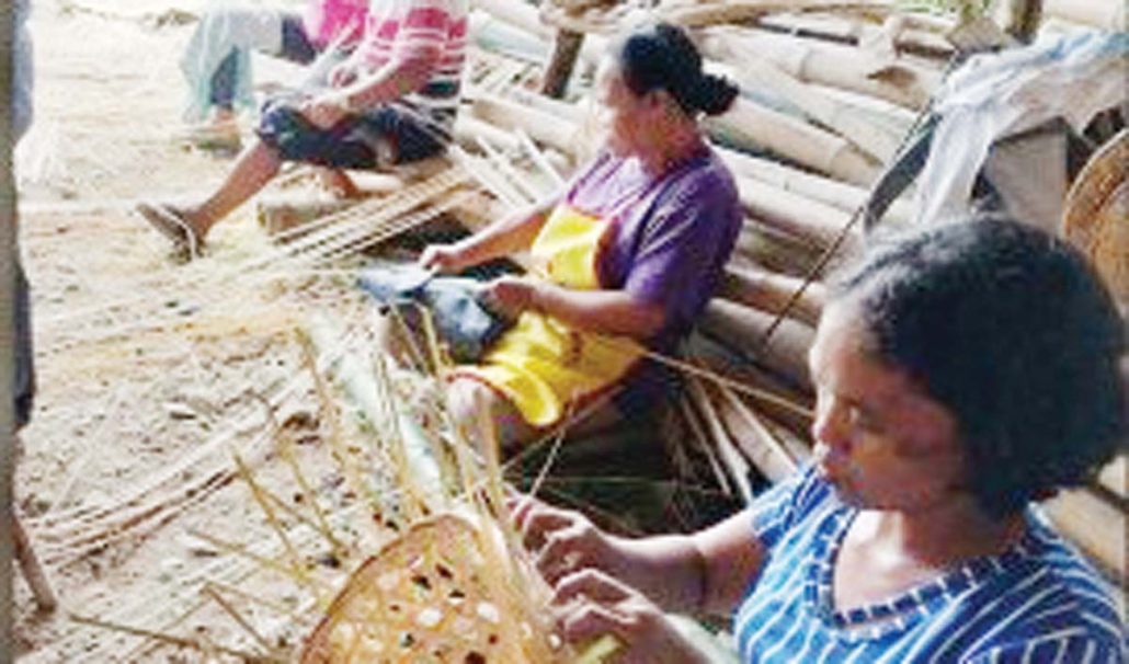 Iloilo farmers encouraged to go into bamboo farming amid rising demand