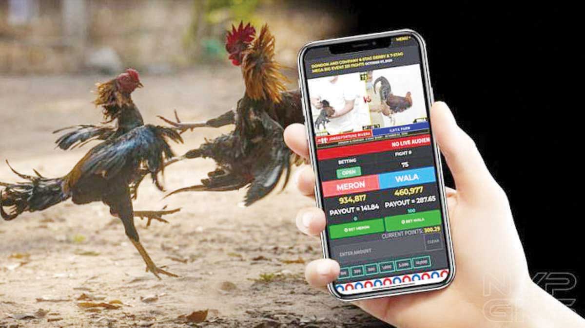 No plans to revive e-sabong – PAGCOR