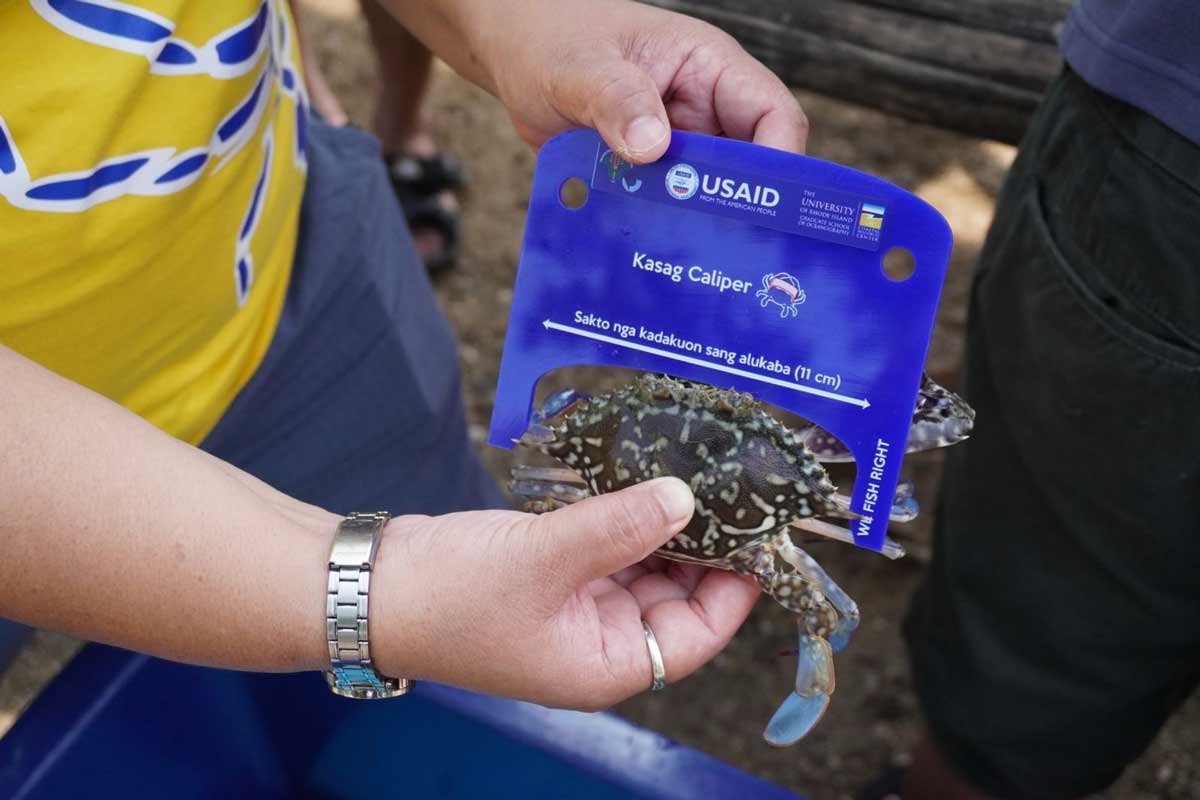 “Elevate Your Taste: The Good Catch Seafood Buffet Combines Gourmet ...