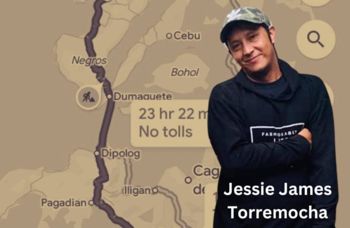 Lineman dies after fall from tree