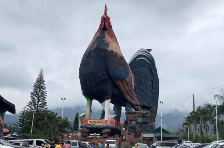 NegOcc's biggest ‘chicken’ building create more jobs – DOT-6 official