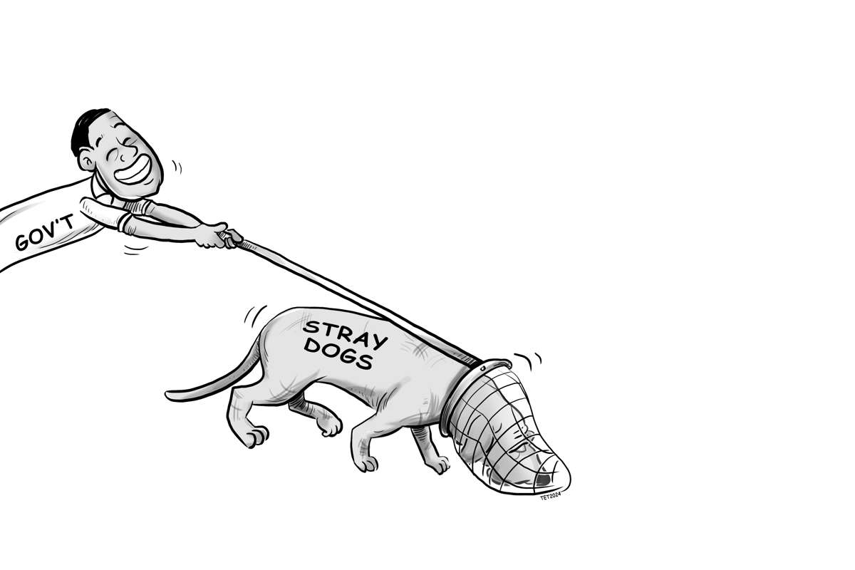 Editorial Cartoon of the Day