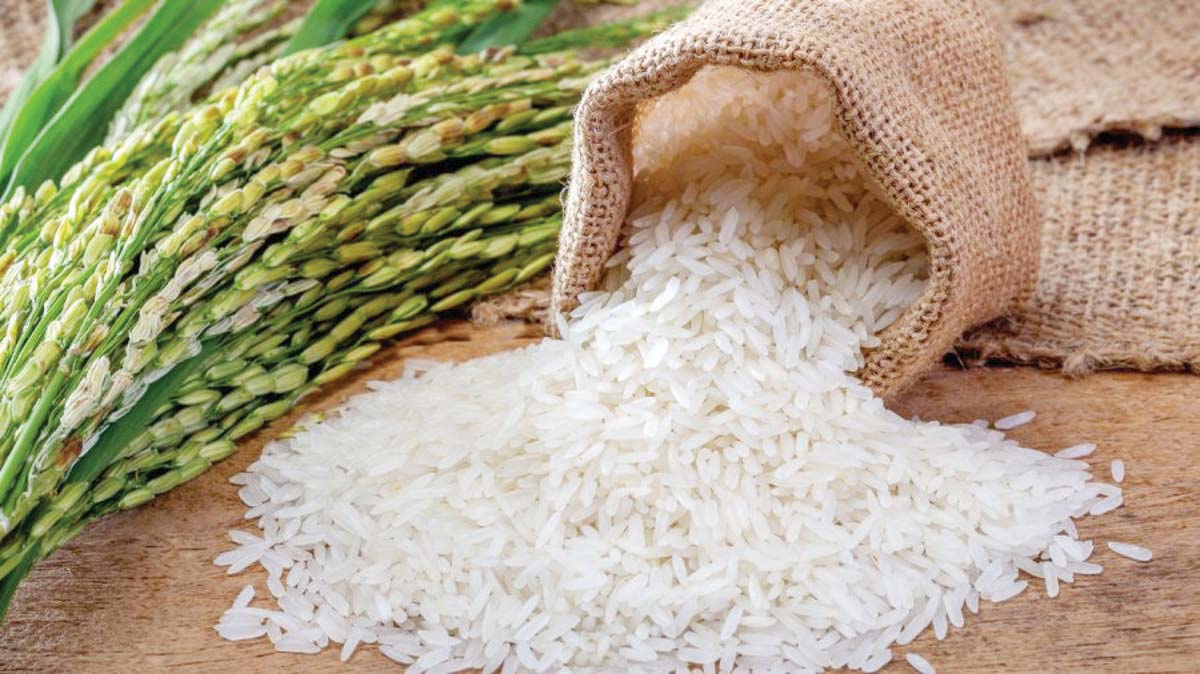 NIA launches affordable rice for marginalized sectors starting Nov.