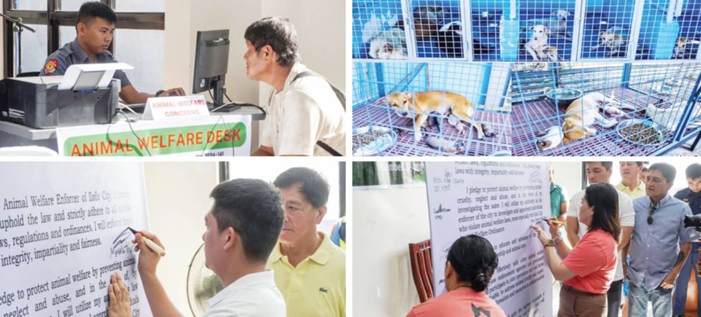 LEADING THE WAY: Iloilo City Gov’t, ICPO pioneer Animal Welfare Desks