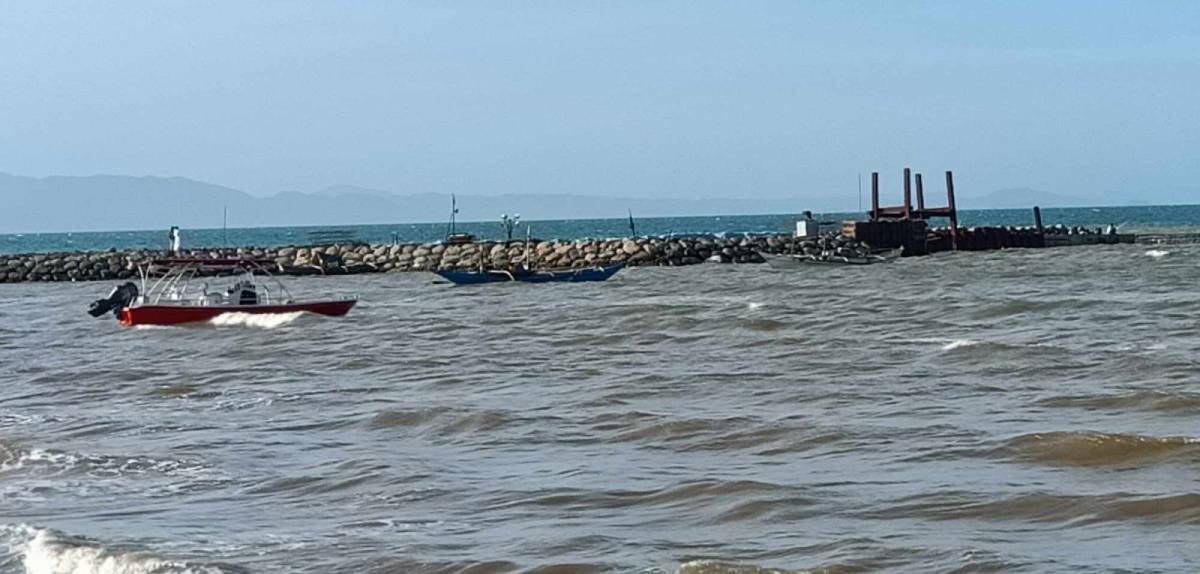 New RoRo routes to ease travel between NegOcc, Iloilo