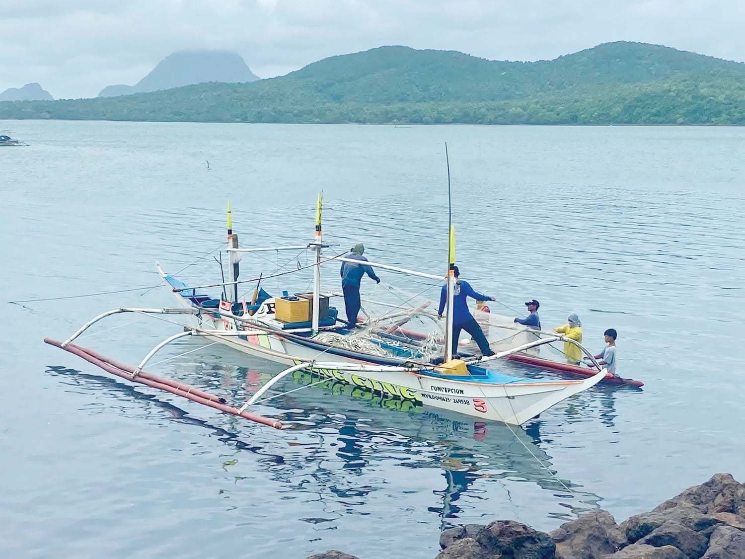 Iloilo prov’l gov’t challenges SC ruling on commercial fishing in ...