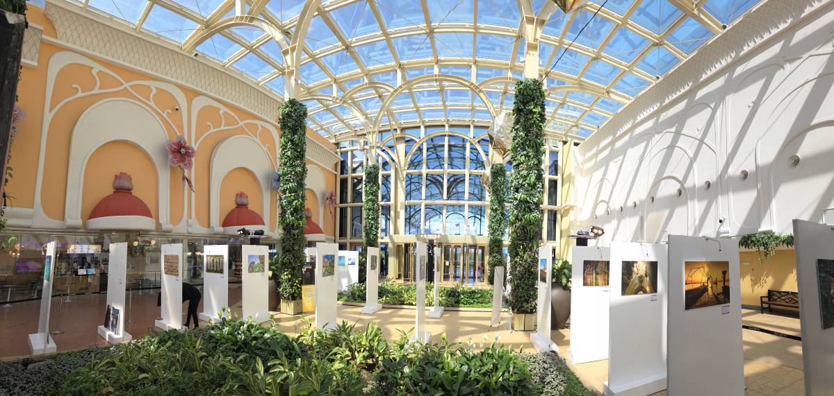 3RD LEG OF PAGCOR PHOTO EXHIBIT OPENS IN OKADA MANILA