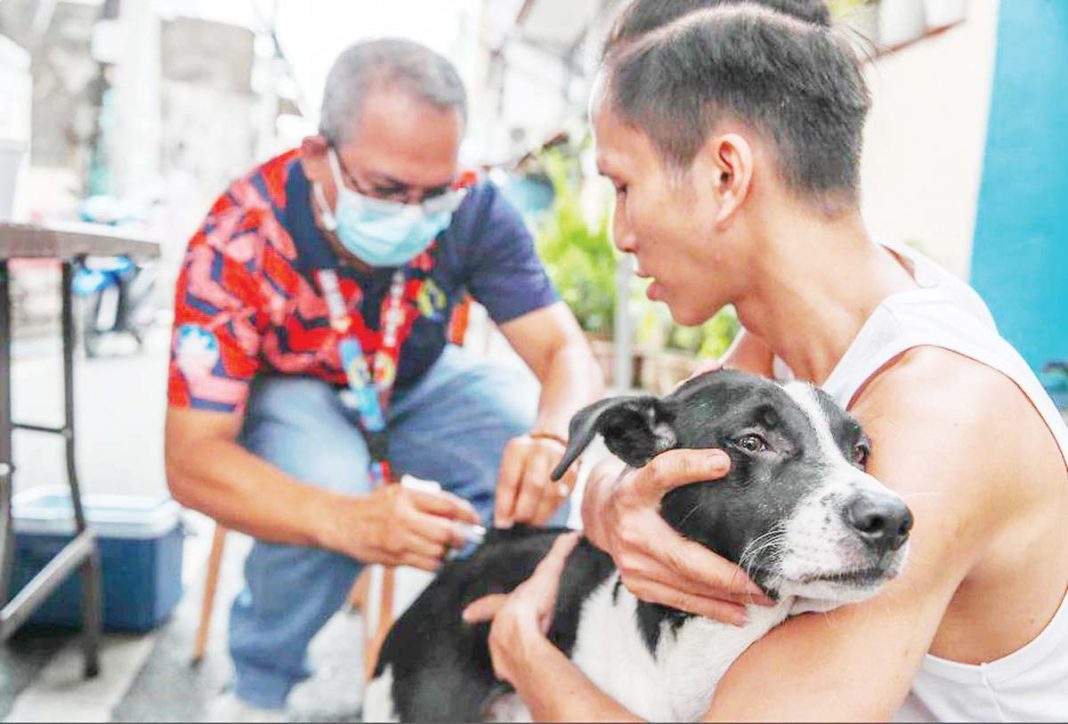 PhilHealth animal bite package covers P5,850 for services against ...