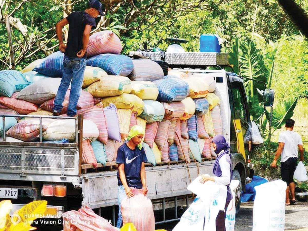 NFA says rice buffer stock hits 5-year high