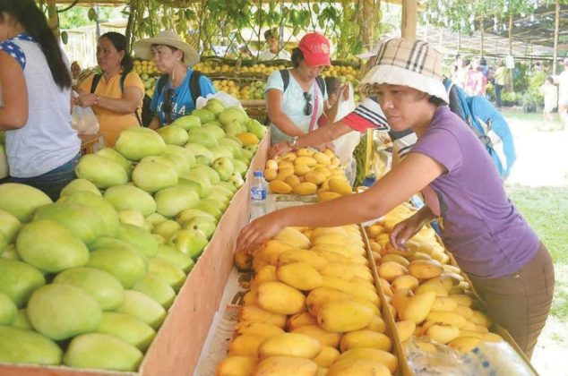 Philippine mangoes make historic debut in Italy