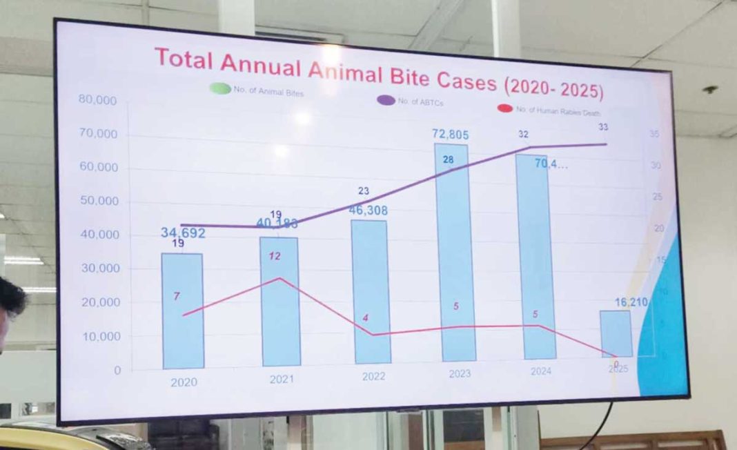 Rising animal bite cases strain Iloilo’s rabies vaccine supply ...