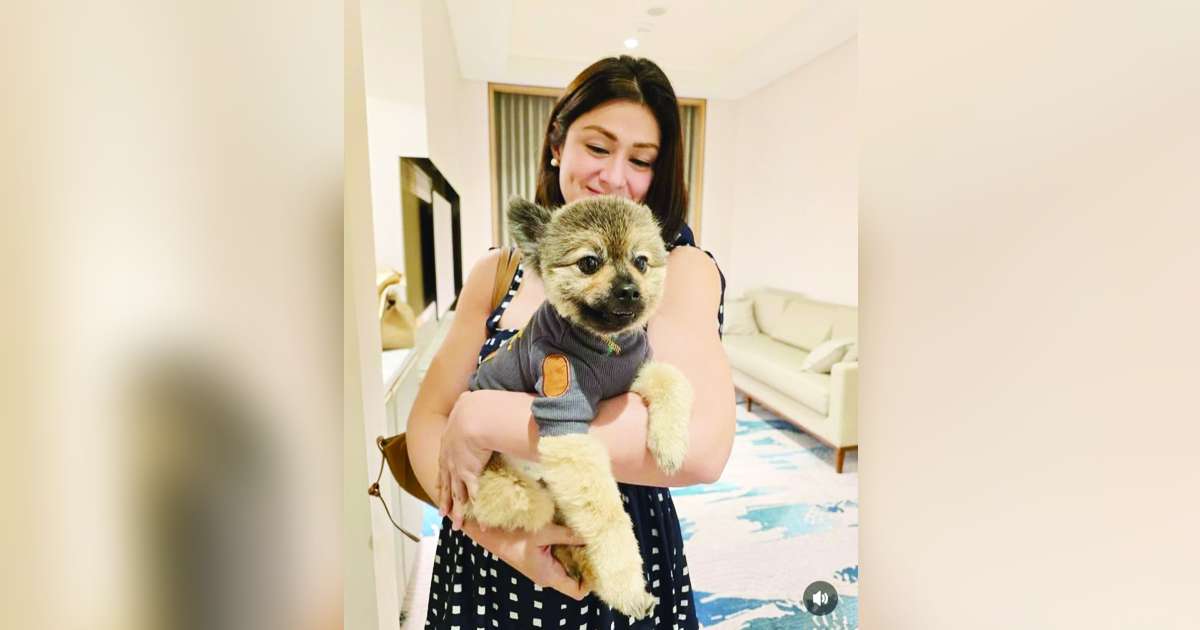 Carla Abellana recalls pet dog being abused by ‘narcissistic ex’