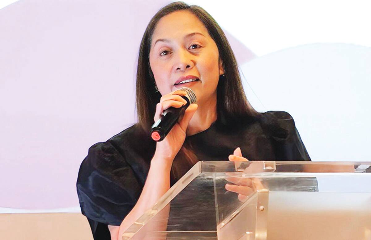 DOE chief lauds Antique’s power subsidy program