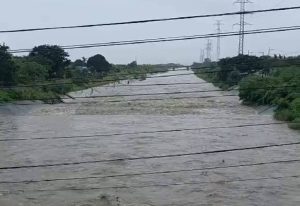 Region’s ASF recovery areas expand as 46 towns now under ‘pink zone ...