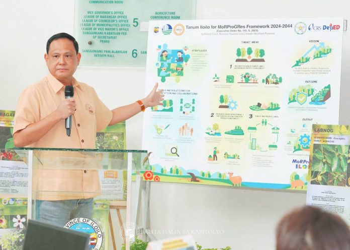 Forests, not billion-peso projects, are Iloilo’s best flood defense ...
