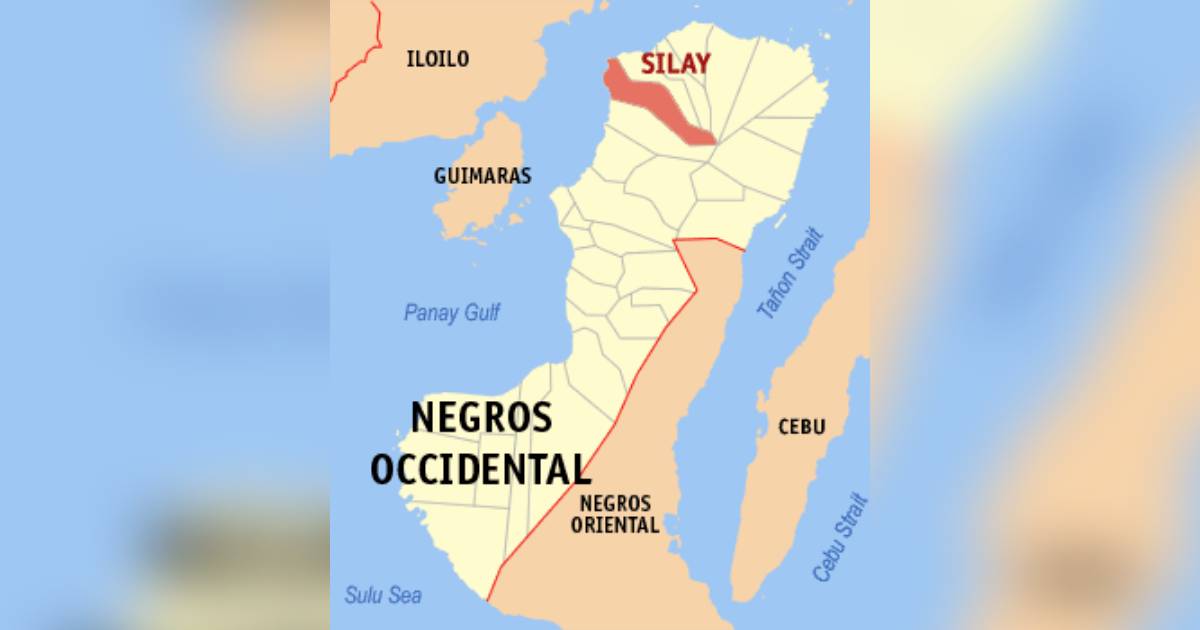 9-year-old girl killed, two siblings hurt in Silay City attack