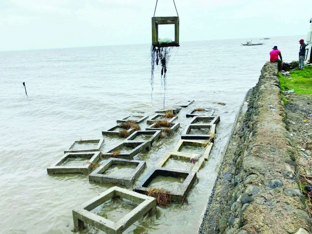 Bacolod deploys more artificial reefs to boost marine biodiversity