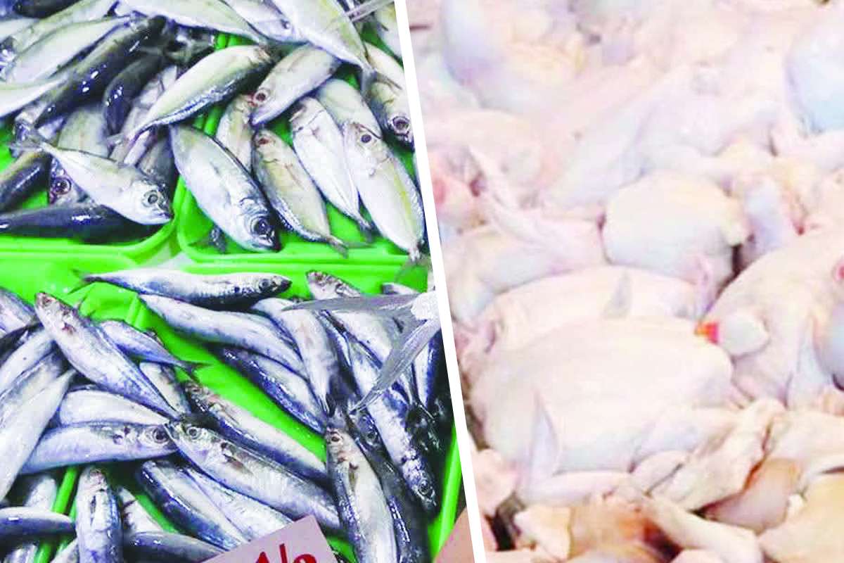 DA: ‘Galunggong’ prices too high? Buy chicken instead
