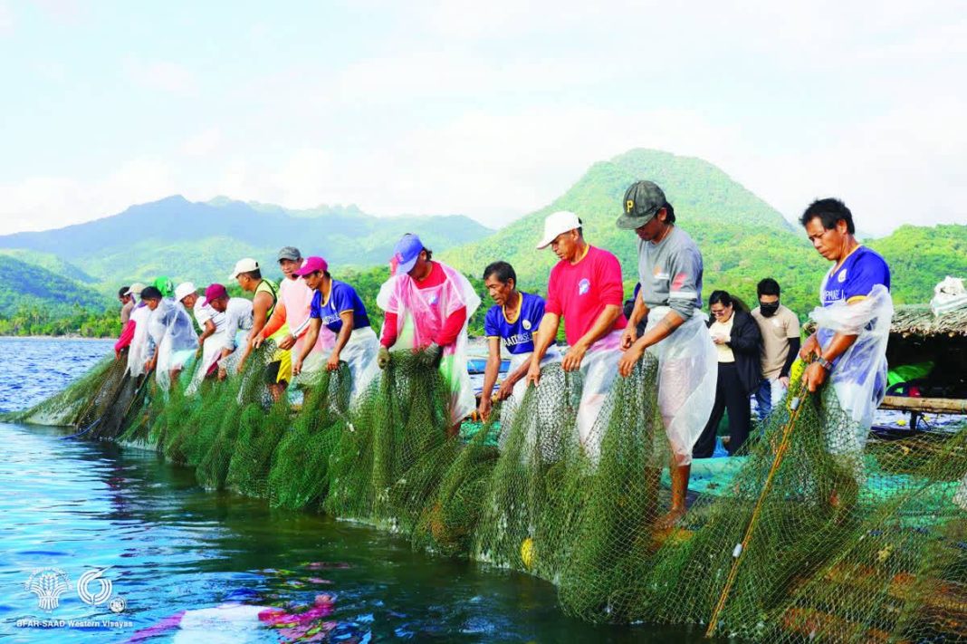 PaFFA’s ‘lambaklad’ operation earns P303,624 in January